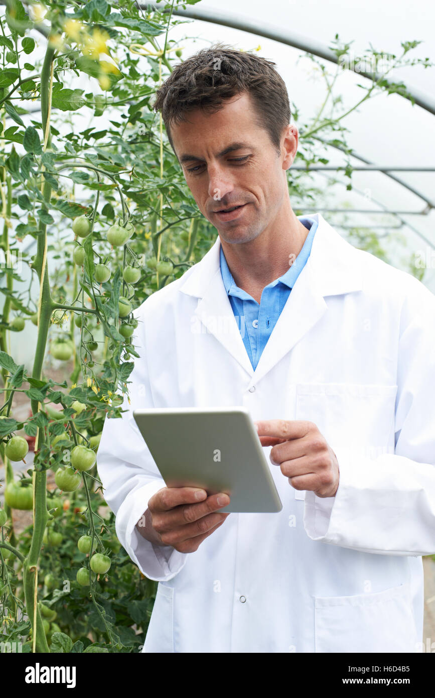 Researching agriculture hi-res stock photography and images - Alamy