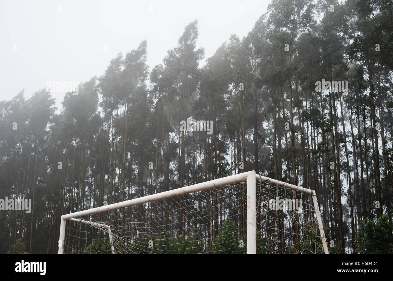 Muddy soccer field hi-res stock photography and images - Alamy
