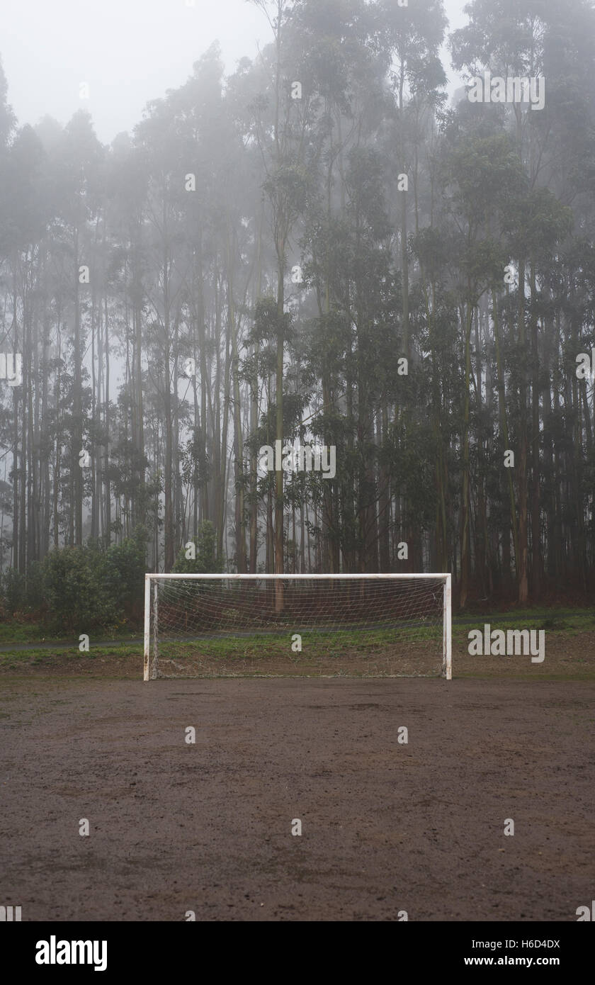Muddy soccer field in the middle of a winter storm Stock Photo - Alamy