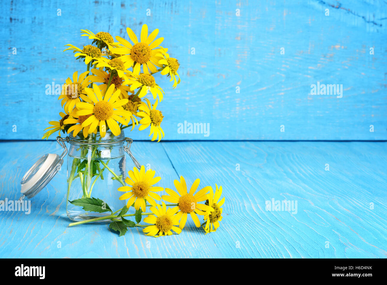 Simple bunch of daisies hi-res stock photography and images - Alamy
