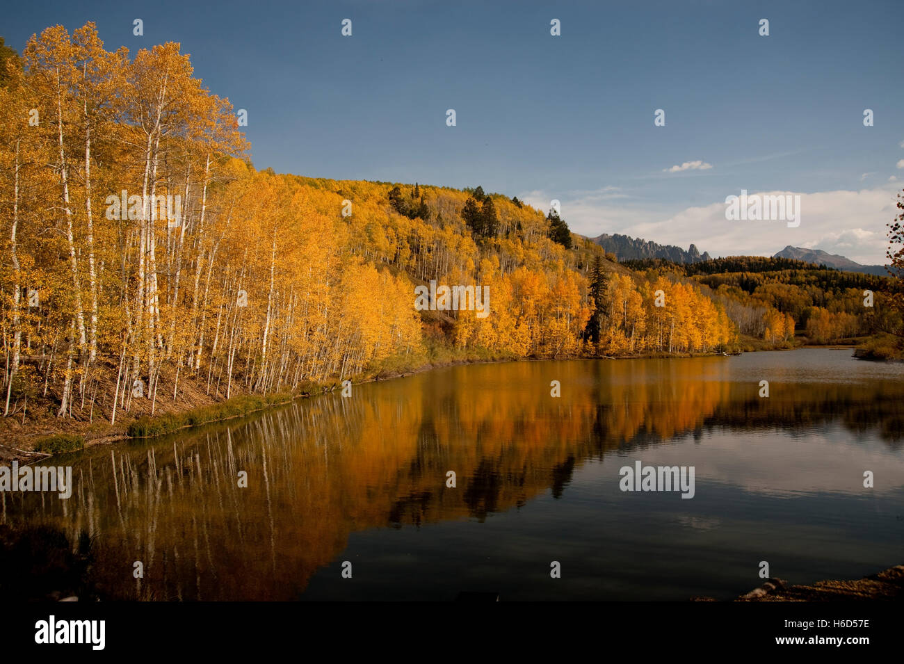 Fall foliage reflected in a roadside lake on route Colorado 145. Aspen ...
