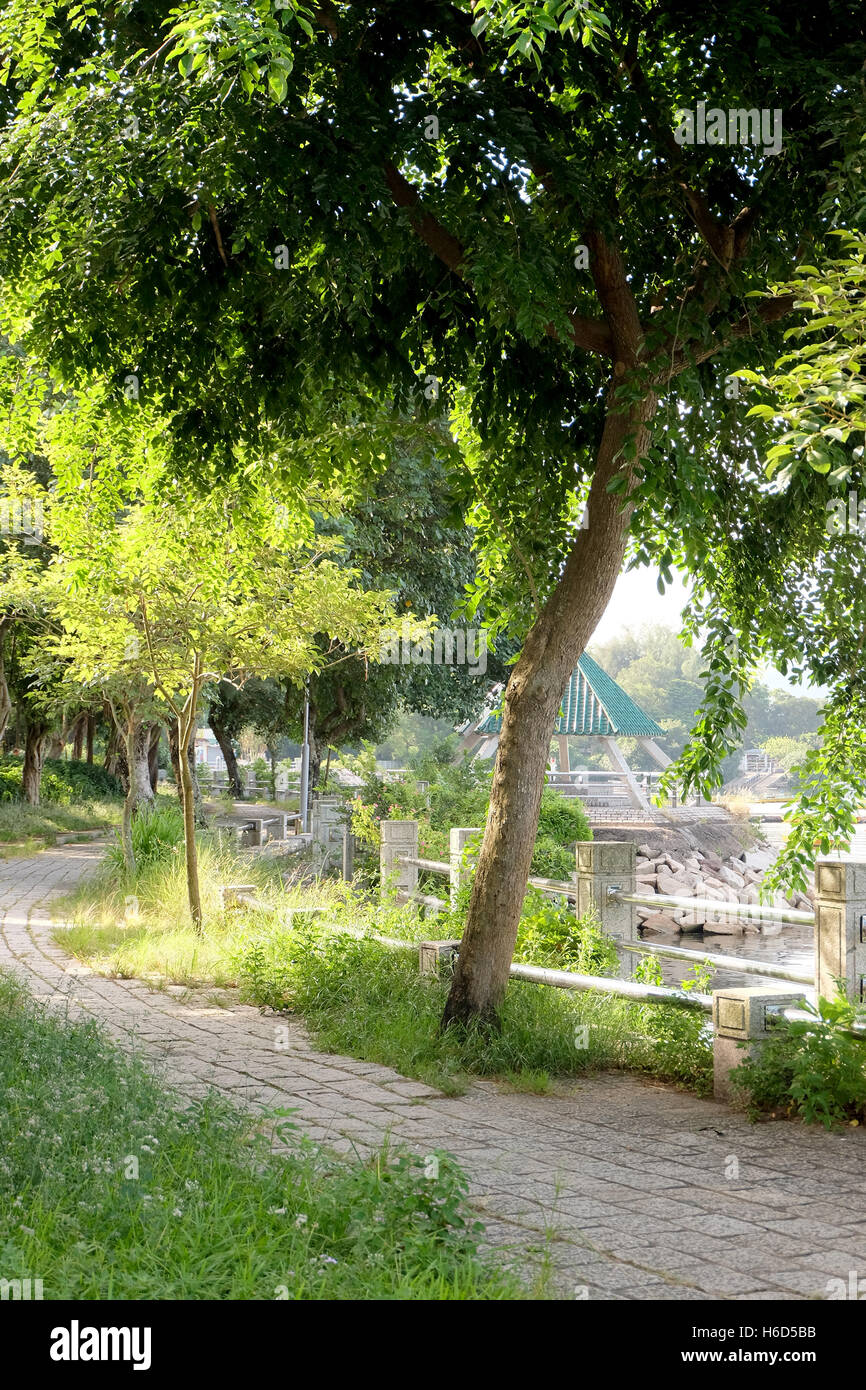 vertical outdoor park with green tree and footpath Stock Photo - Alamy