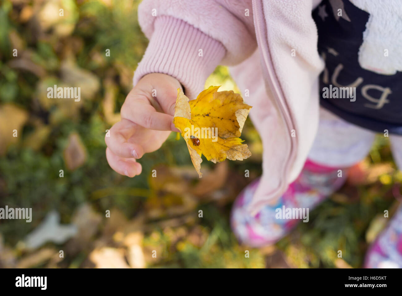 Child holding bug hi-res stock photography and images - Alamy