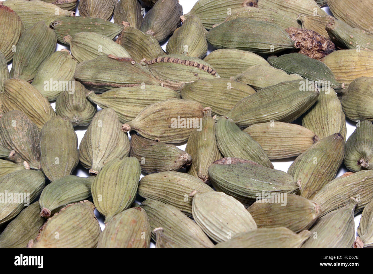 Group of cardamon pods for background Stock Photo - Alamy