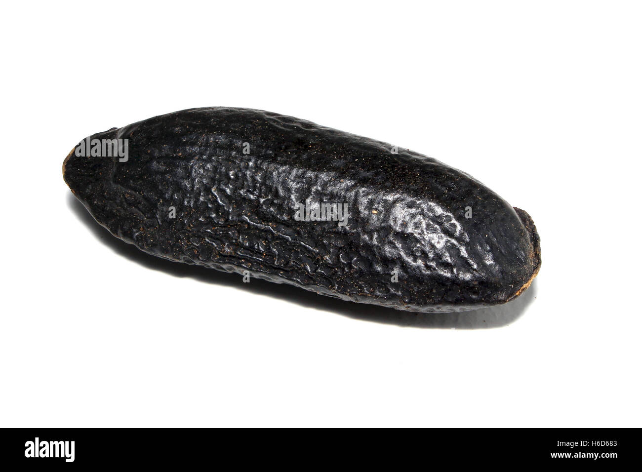Tonka bean (cumaru) seed with white background Stock Photo - Alamy