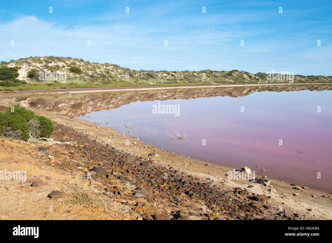 The Hutt Lagoon, salt lake, with distinct pink hue in the Mouth of Hutt ...