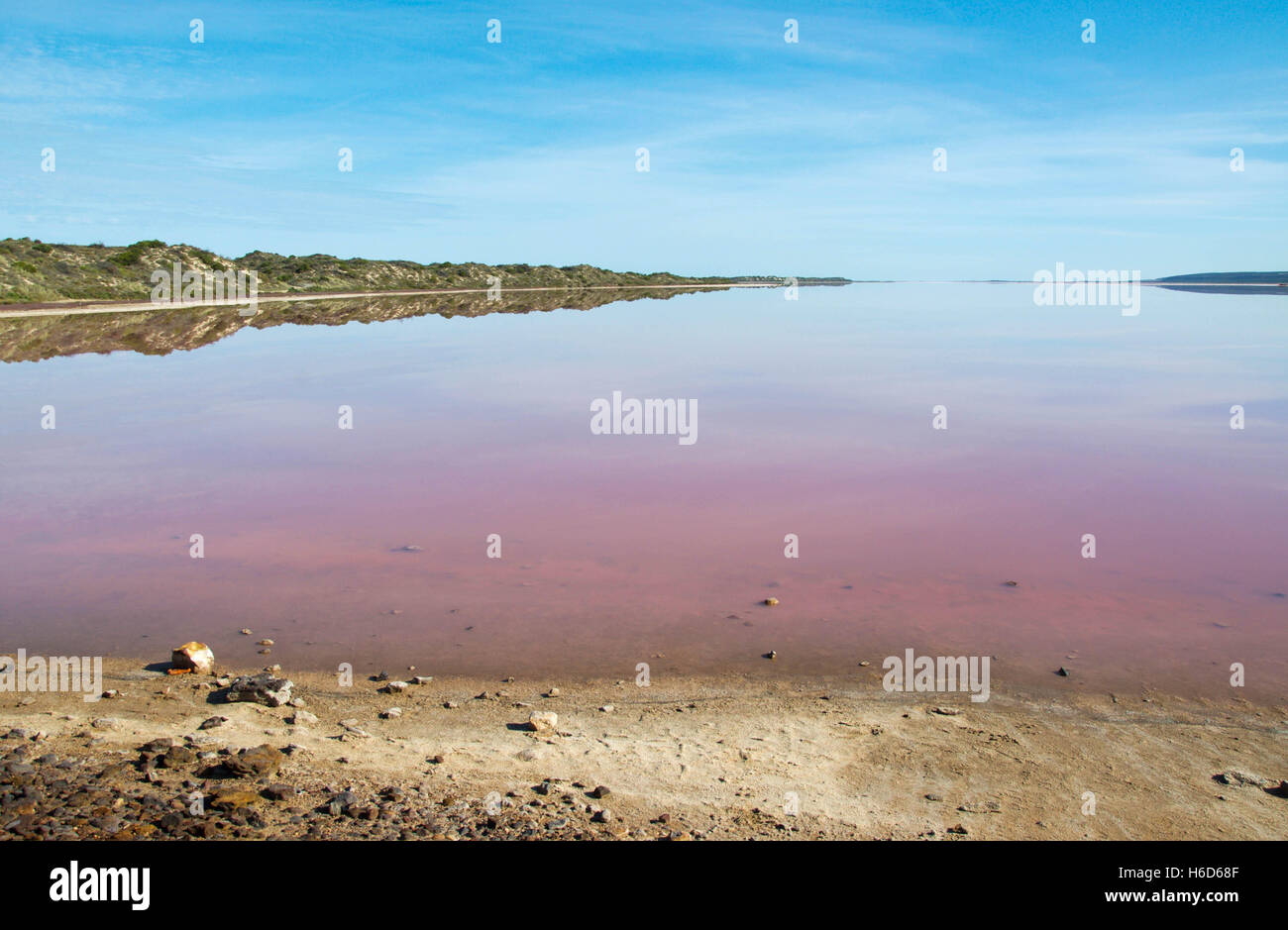 The Hutt Lagoon, salt lake, with distinct pink hue in the Mouth of Hutt ...