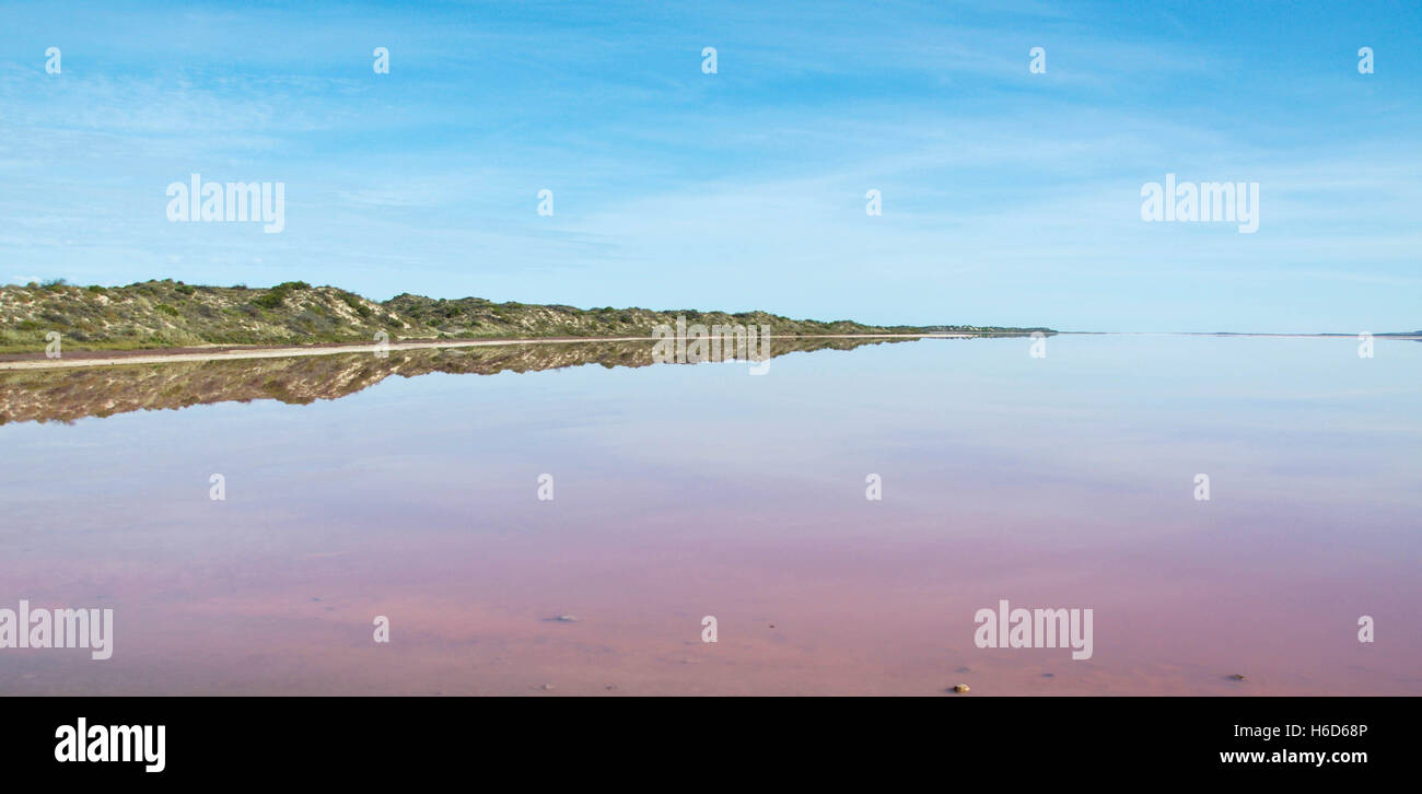 The Hutt Lagoon, salt lake, with distinct pink hue in the Mouth of Hutt ...
