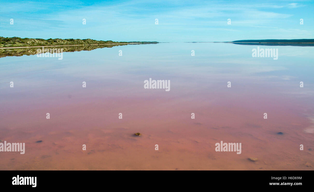 The Hutt Lagoon, salt lake, with distinct pink hue in the Mouth of Hutt ...