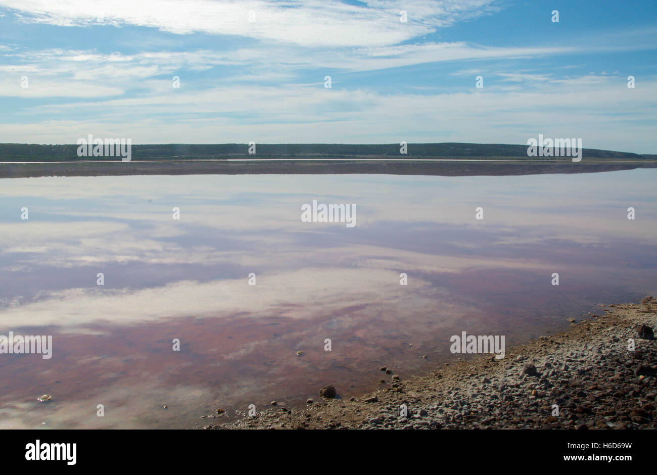 The Hutt Lagoon, salt lake, with distinct pink hue in the Mouth of Hutt ...