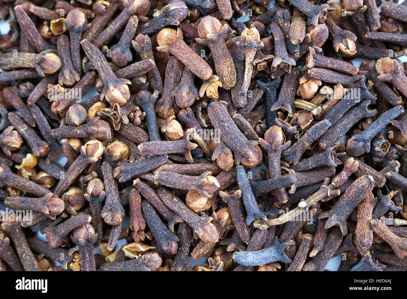 Clovacaine hi-res stock photography and images - Alamy