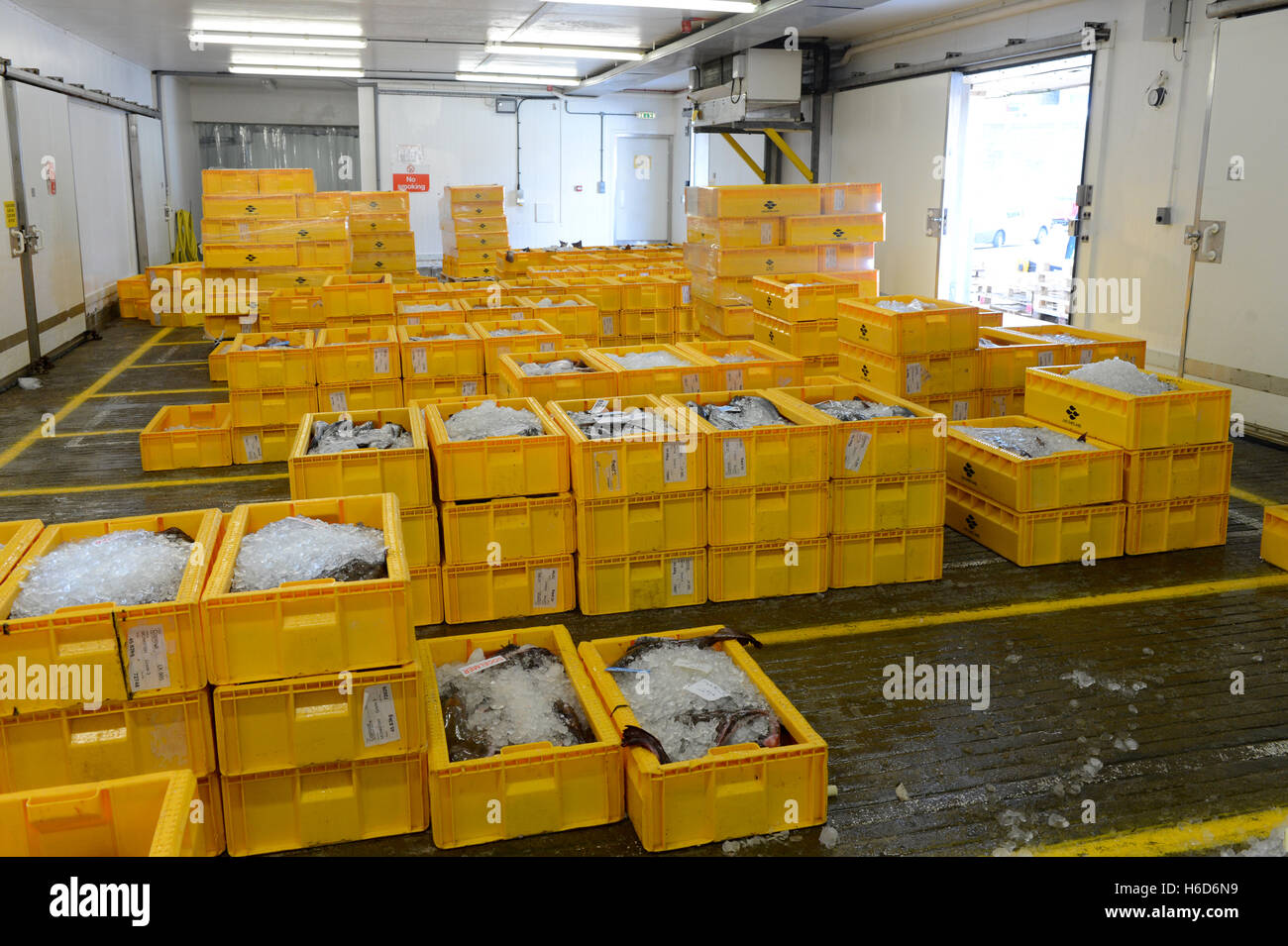 Fish Market Lerwick Shetland Stock Photos & Fish Market Lerwick ...