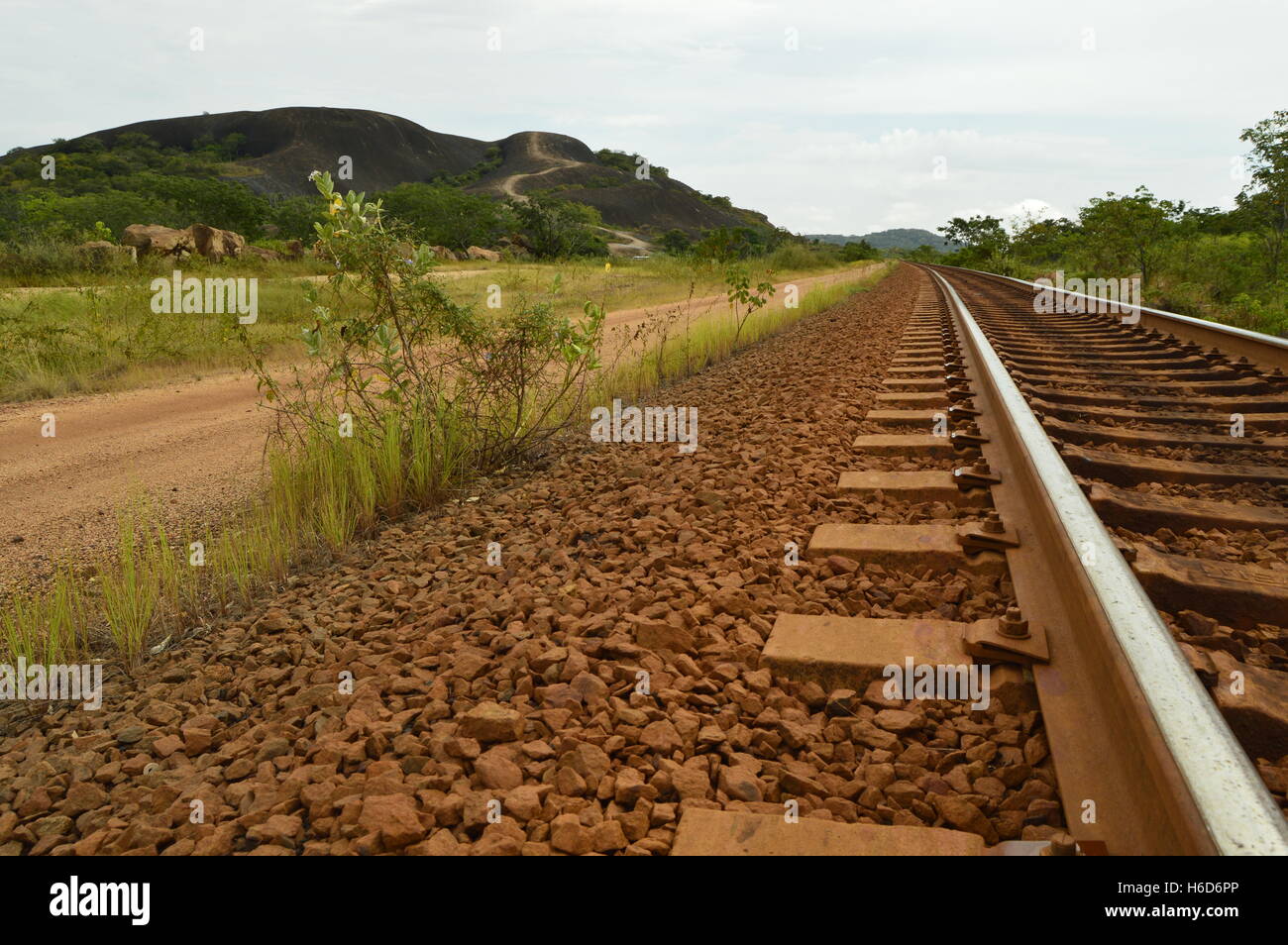 Landscape with a railroad train Stock Photo - Alamy