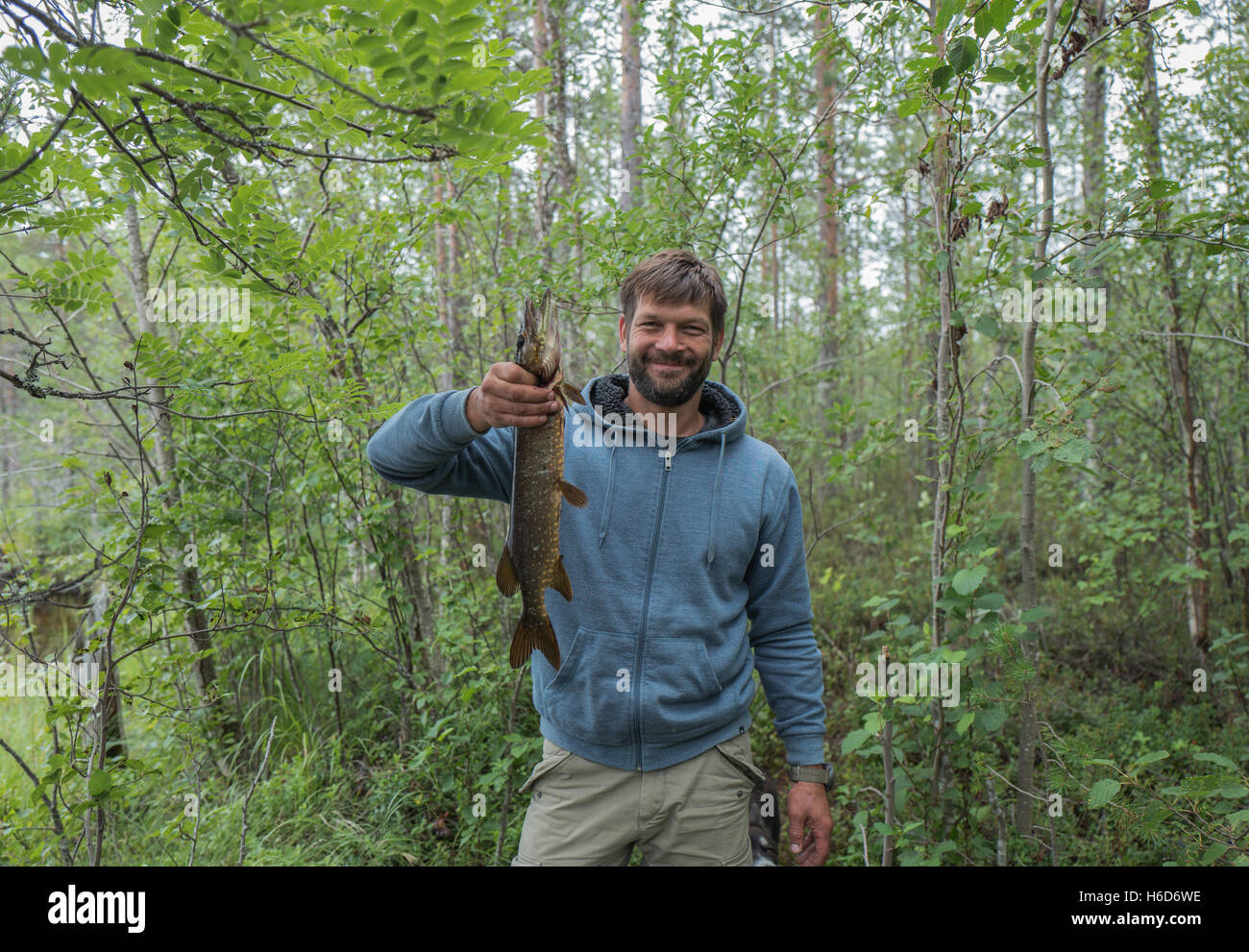 Pike fish hi-res stock photography and images - Alamy