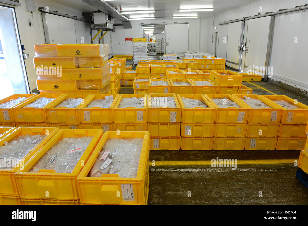 Fish landings and catch at the Lerwick fish market in Shetland Islands ...