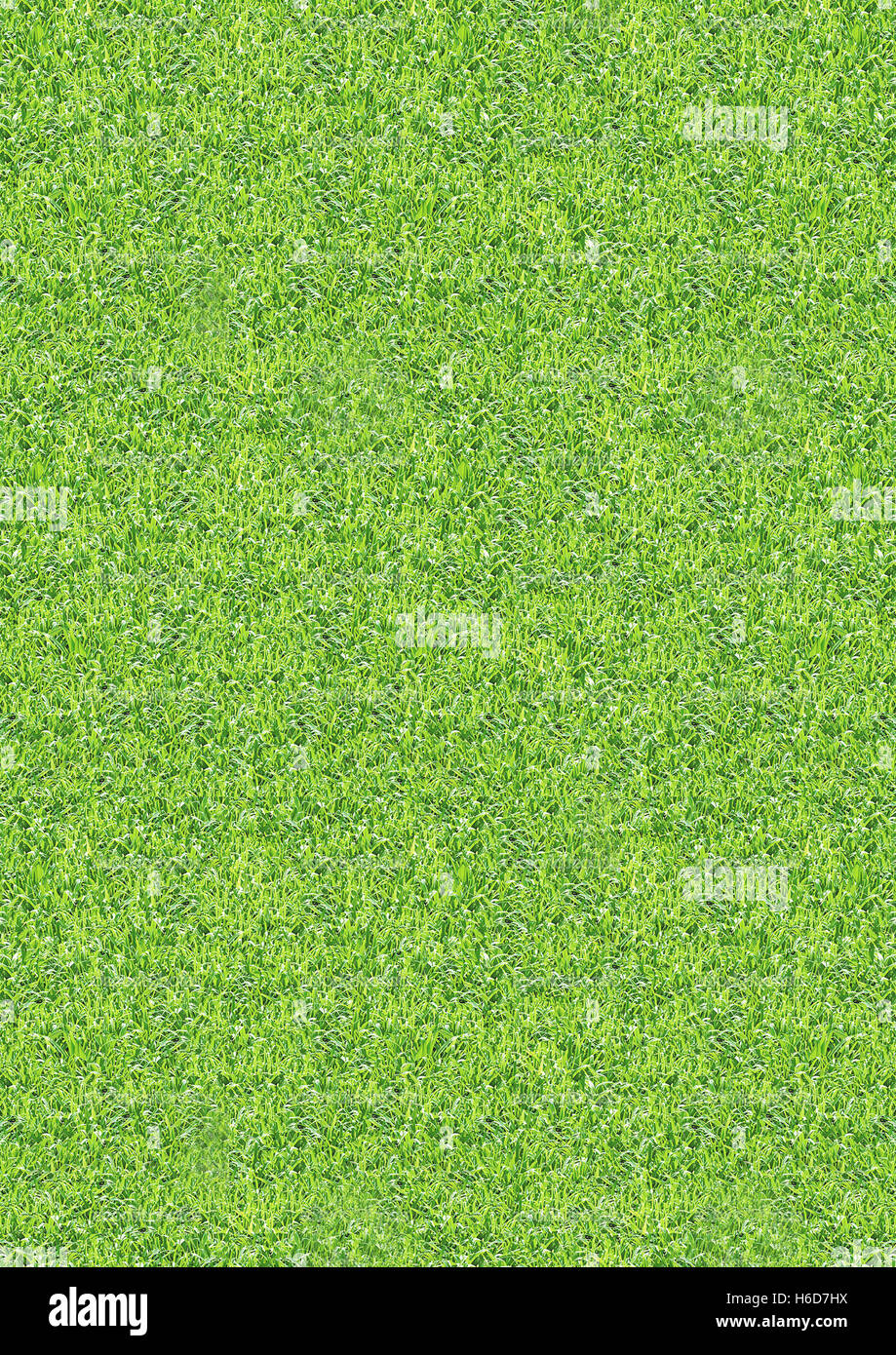 Green grass pattern loop textured backdrop Stock Photo - Alamy
