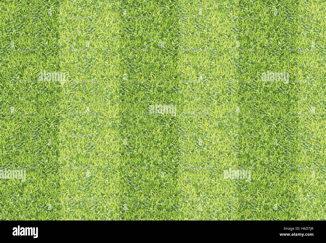 Green grass pattern loop textured backdrop Stock Photo - Alamy