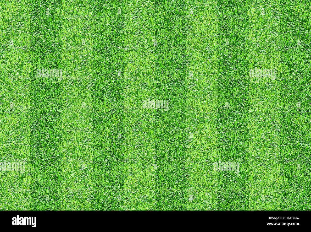 Green grass pattern loop textured backdrop Stock Photo - Alamy
