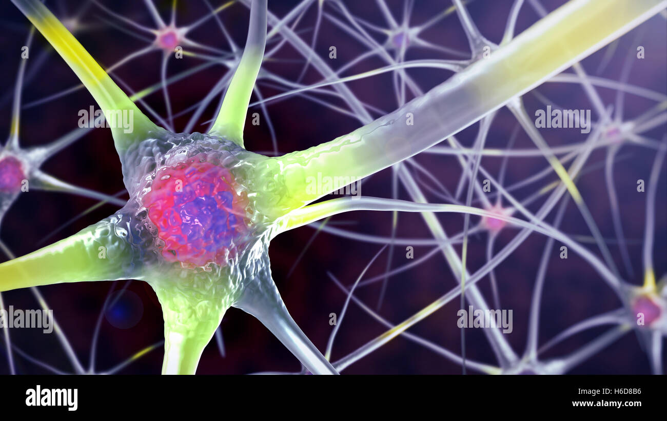 rendered illustration - nerve cell Stock Photo - Alamy