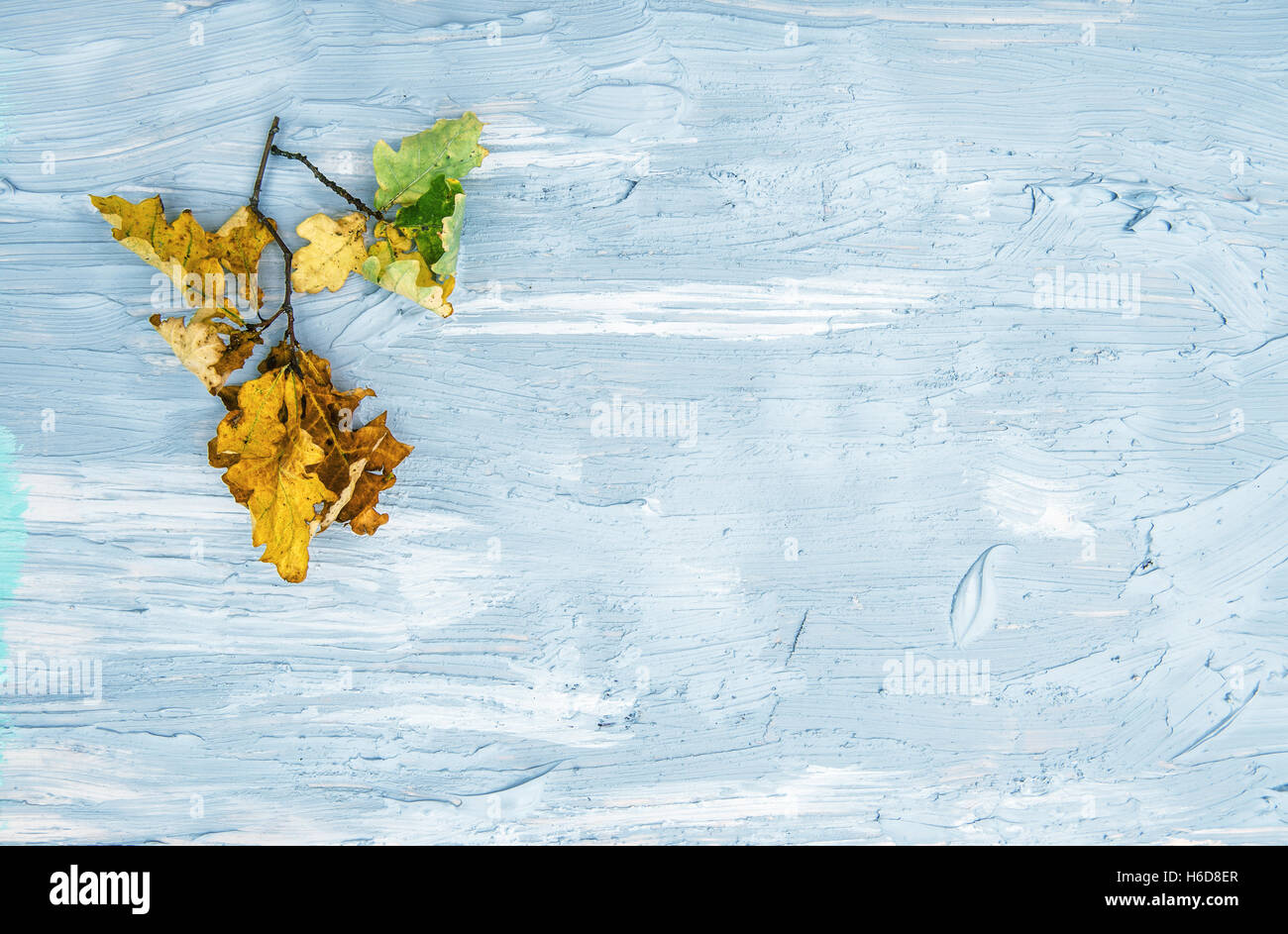 Yellow oak leaves on grey rustic texture. Autumn minimal background ...