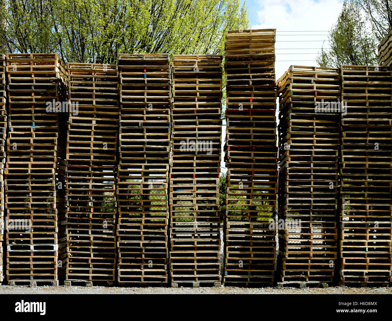 Several hundred pallets stacked in columns in exterior dirt lot Stock ...
