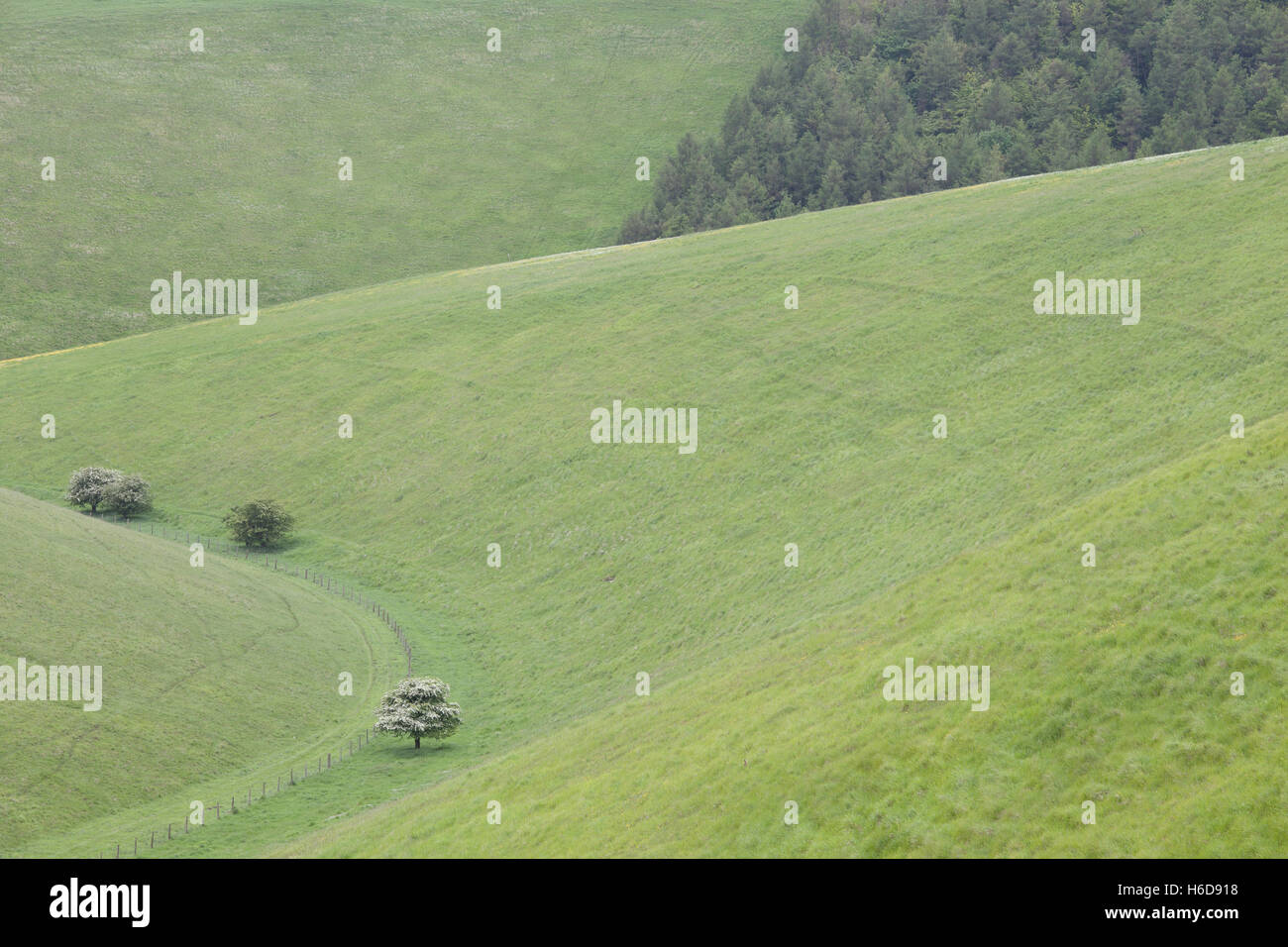 Winding track through the green valley of Frendal Dale, near Huggate ...