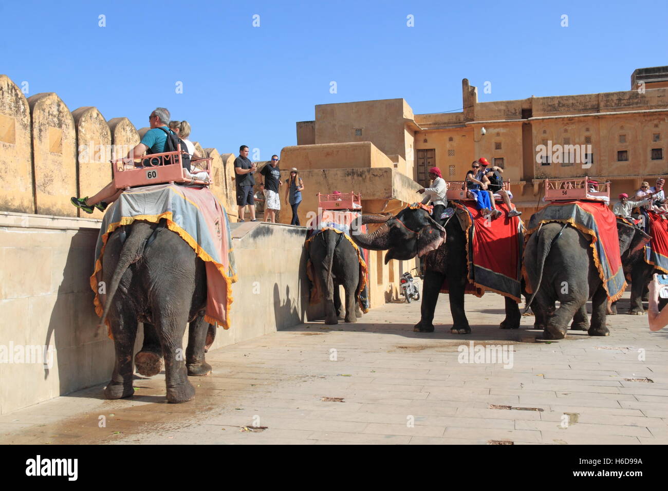 Indian elephant rides hi-res stock photography and images - Alamy