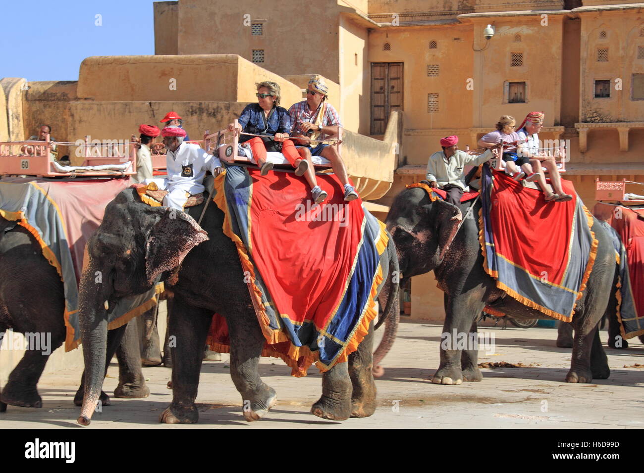 Indian Elephant Rides Stock Photos & Indian Elephant Rides Stock Images ...