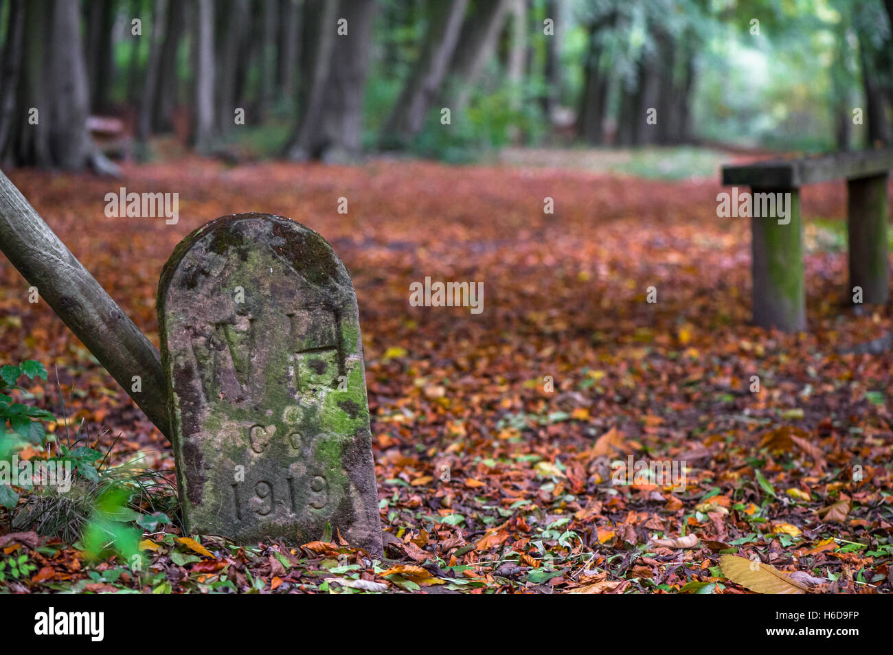 Carved boundary stone for William Hollins at his mills in Pleasley vale ...