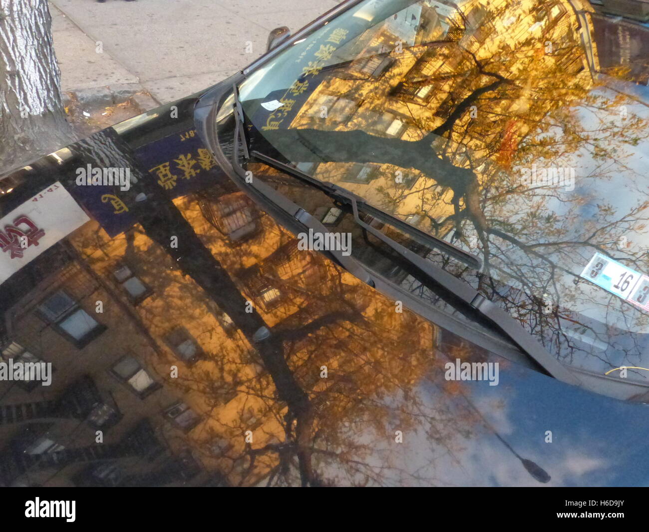 Tree and apartment building reflecting in car's windshield Stock Photo ...