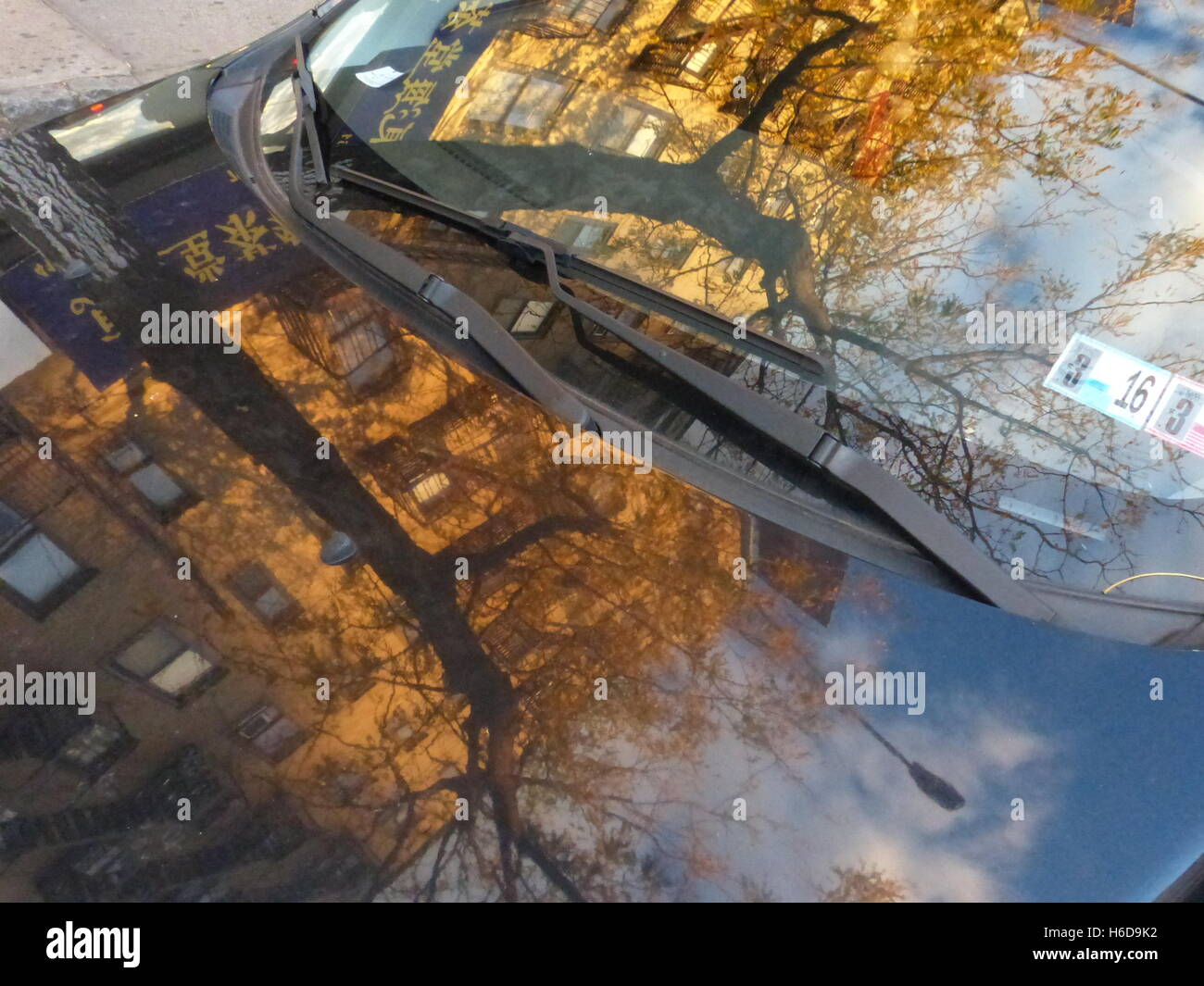 Tree and apartment building reflecting in car's windshield Stock Photo ...