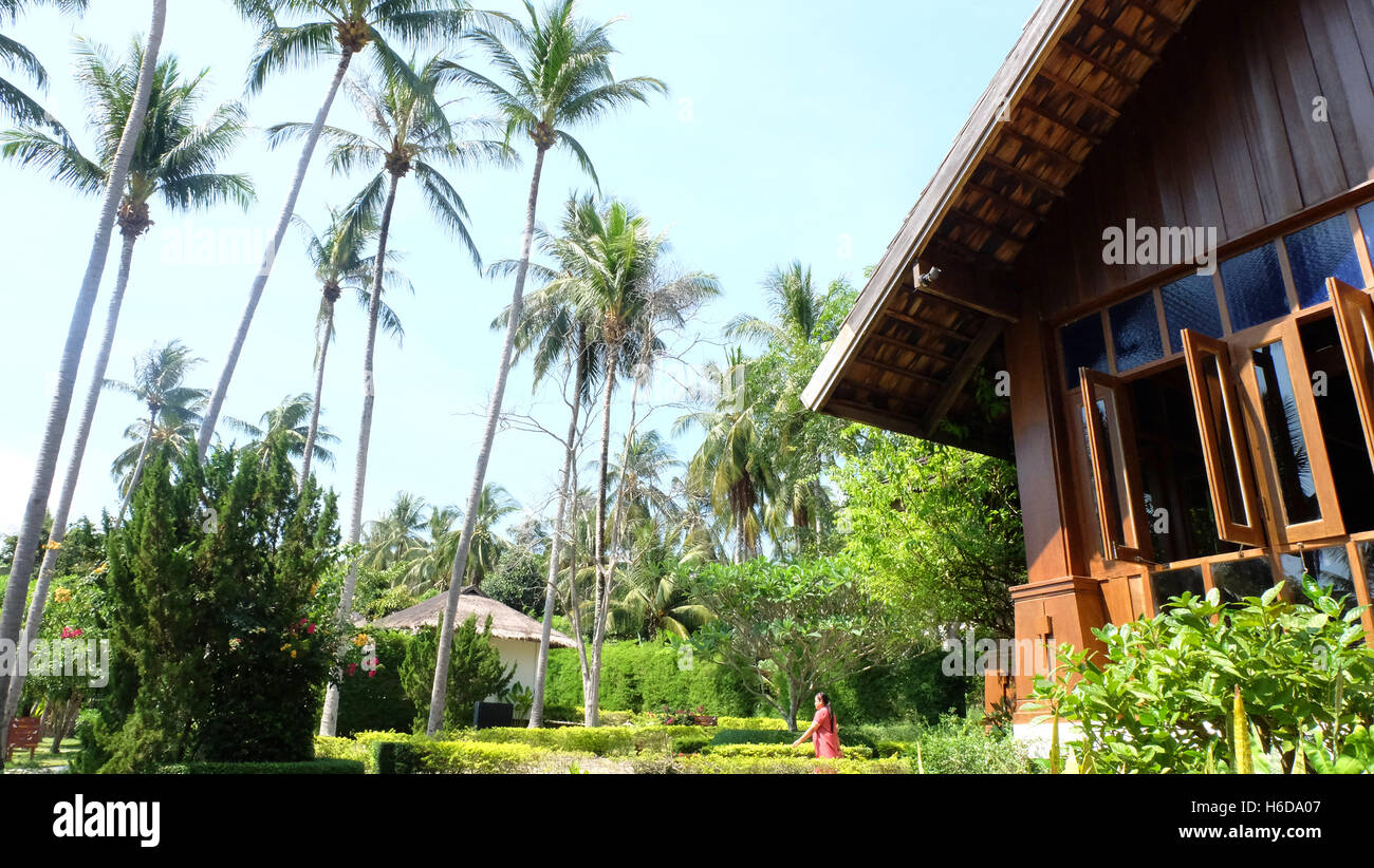 Wooden resort house and palm trees in tropical island Stock Photo - Alamy