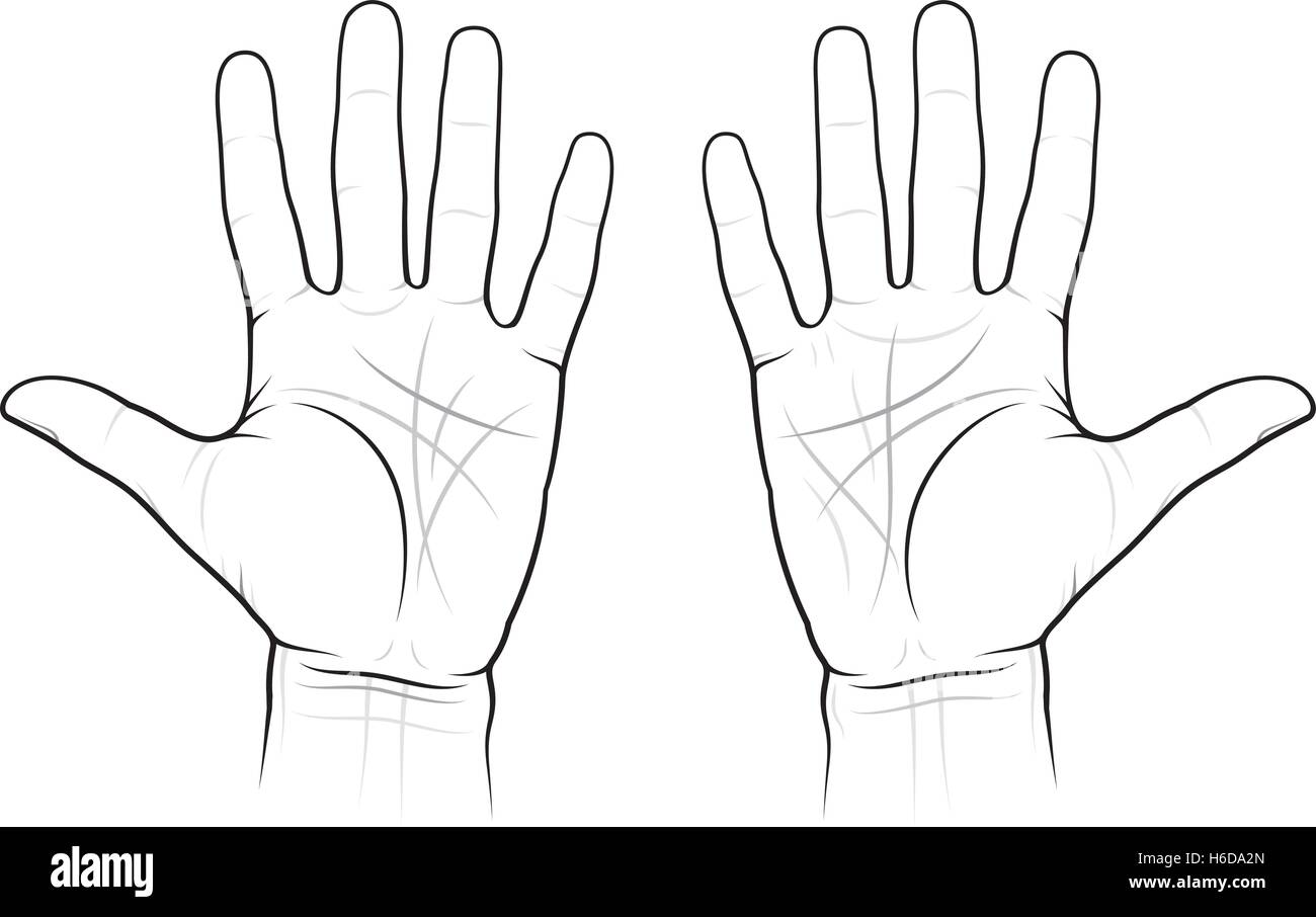Palmistry chart hi-res stock photography and images - Alamy
