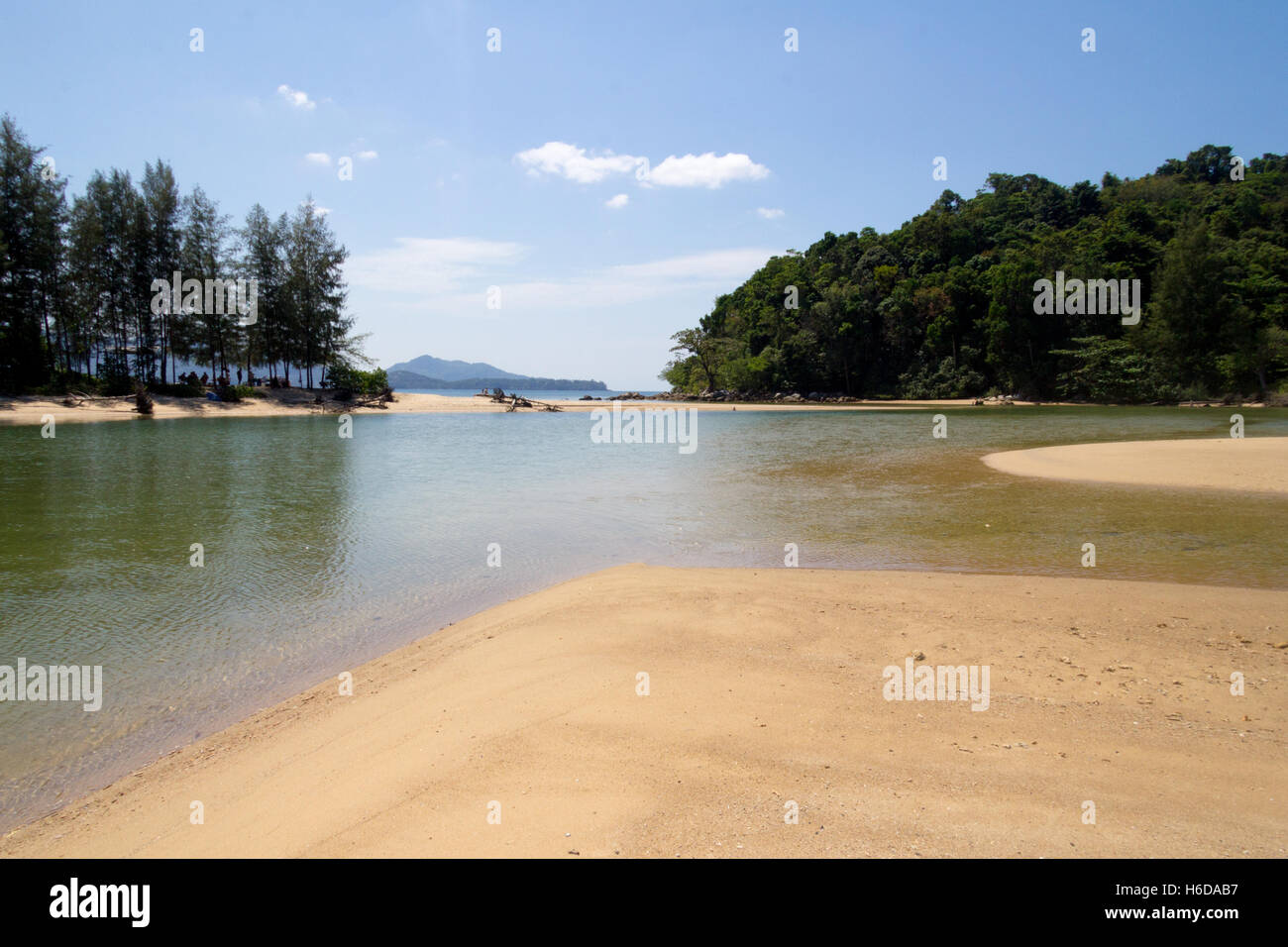 Tree on the beach at Layan beach, Phuket island, Thailand Stock Photo ...