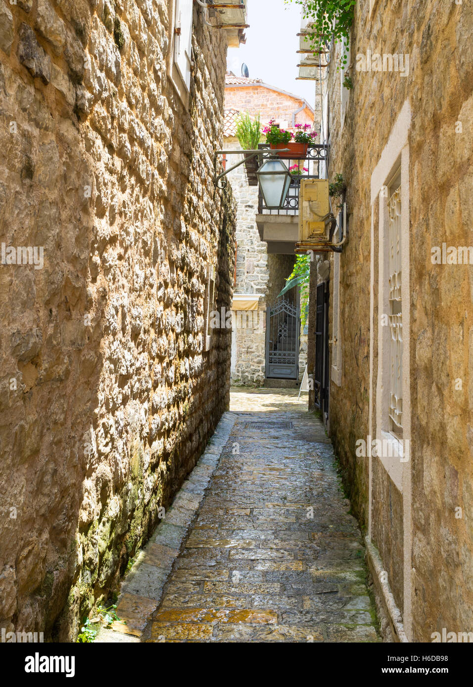 Shady street hi-res stock photography and images - Alamy