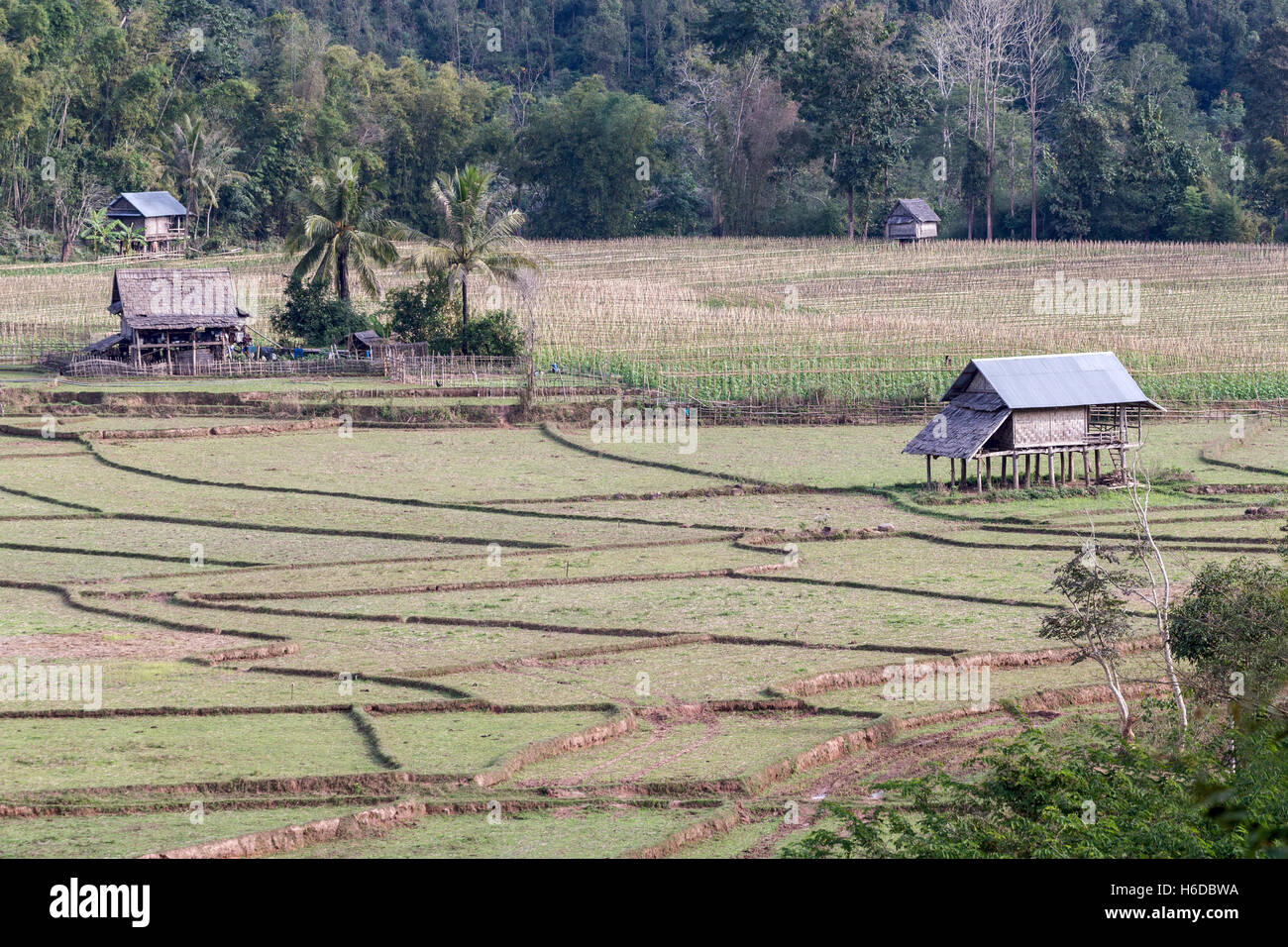 Muang la tribe laos hi-res stock photography and images - Alamy