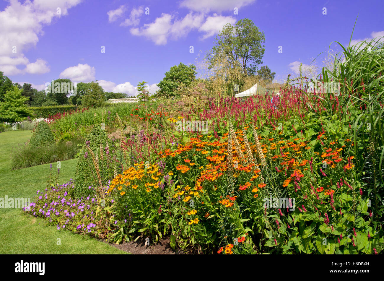 Perennials bed summer hi-res stock photography and images - Alamy