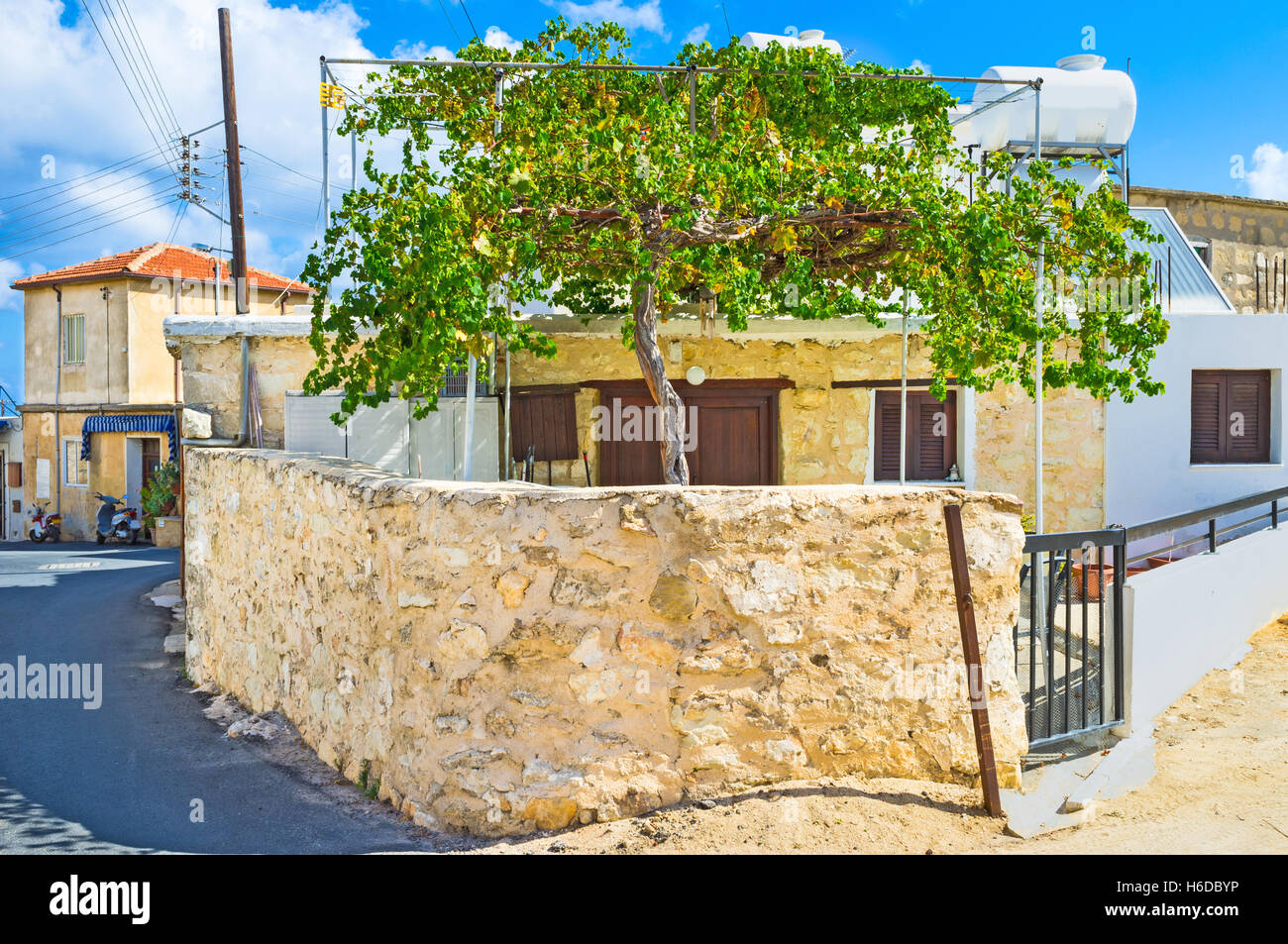 The small house with the scenic grape vine against it, Neo Chorio ...