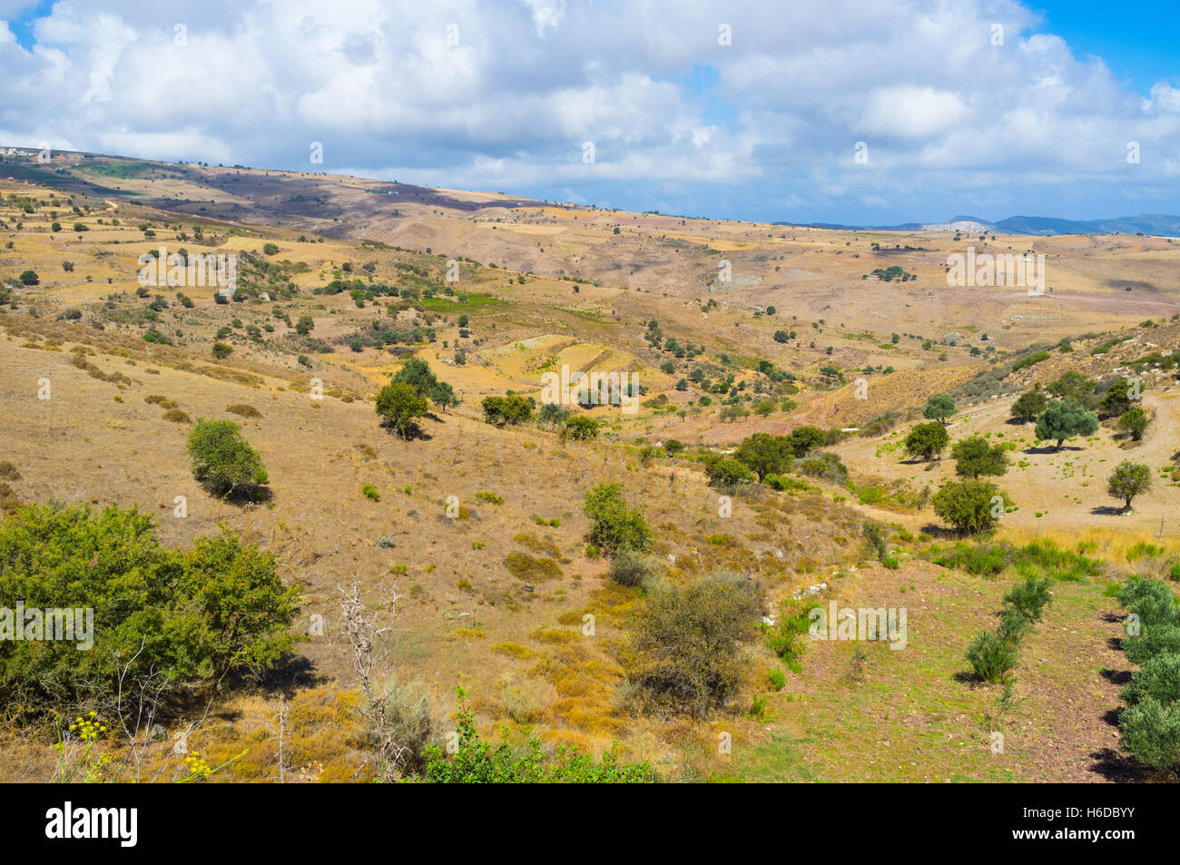 The scenic landscape with the poor vegetation, Cyprus Stock Photo - Alamy