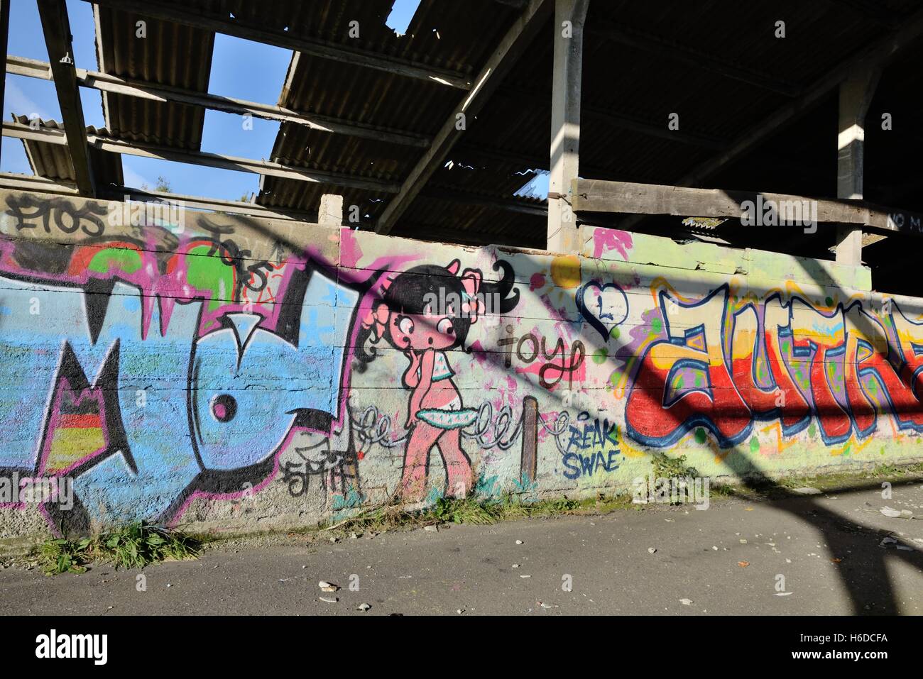 Graffiti covered walls in a derelict farmyard building in Scotland, UK ...