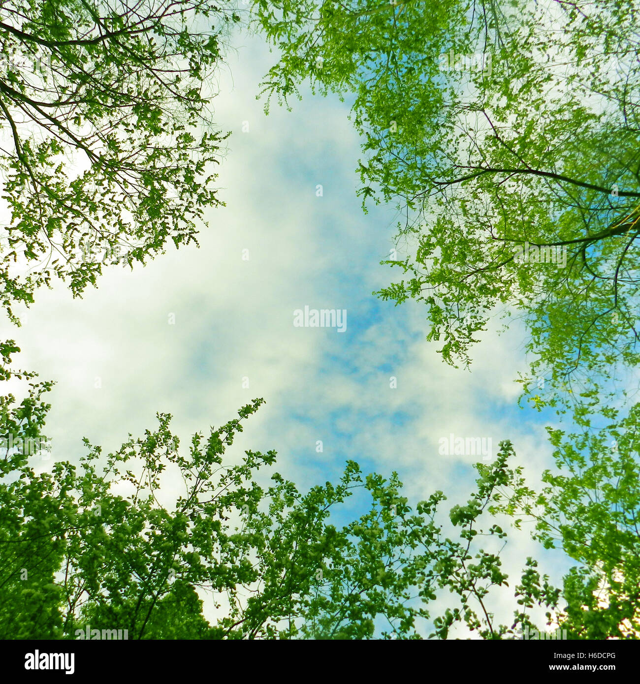 The sky in the spring (highly saturated picture Stock Photo - Alamy