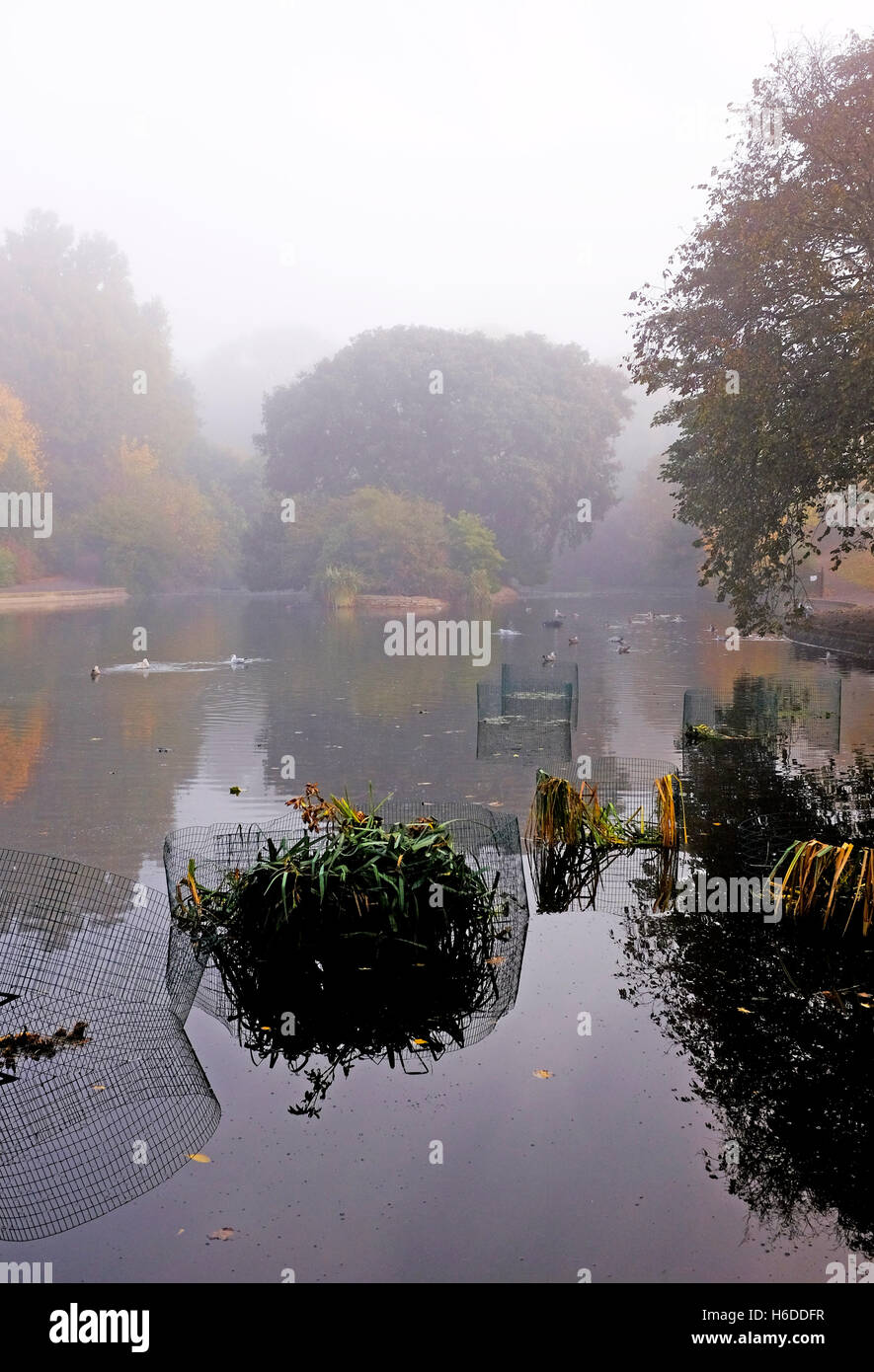 Brighton, UK. 27th Oct, 2016. Autumn trees are reflected in Queens Park ...