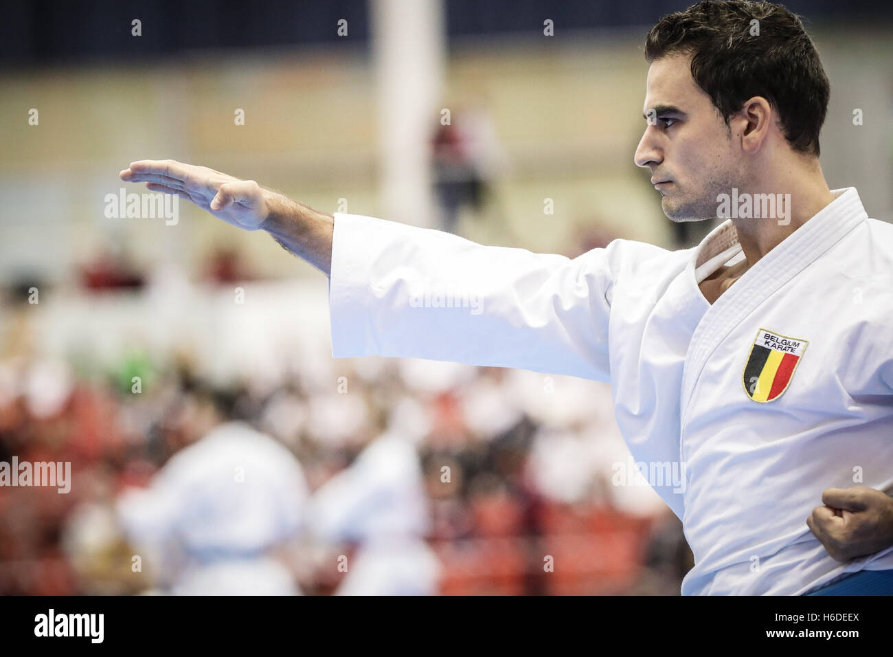 Linz, Austria. 26, October, 2016. Allesandro Di Giovanni Amadeo ...