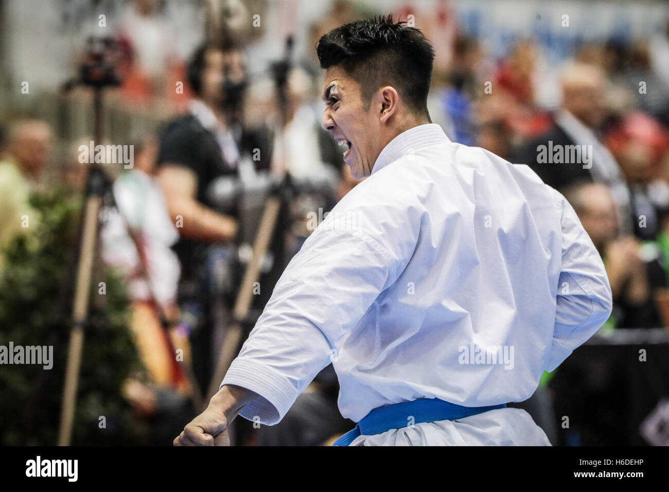 Linz Austria 26 October 2016 Ryo Kiyuna Japan Kata Male World