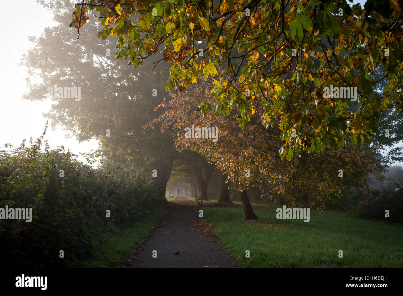 Village of ferring hi-res stock photography and images - Alamy