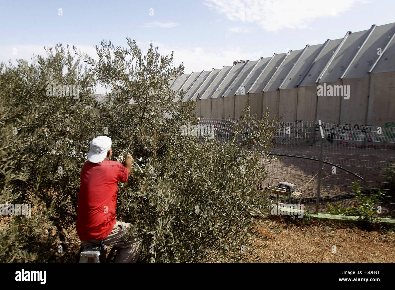 Beit Jala, West Bank, Palestinian Territory. 27th Oct, 2016. A ...