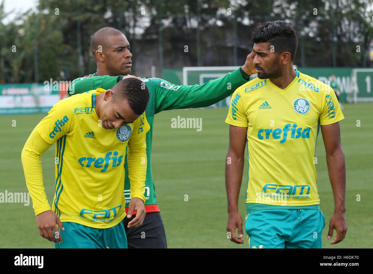 Sao Paulo, Brazil. 27th Oct, 2016. Palmeiras training: Pictured players ...