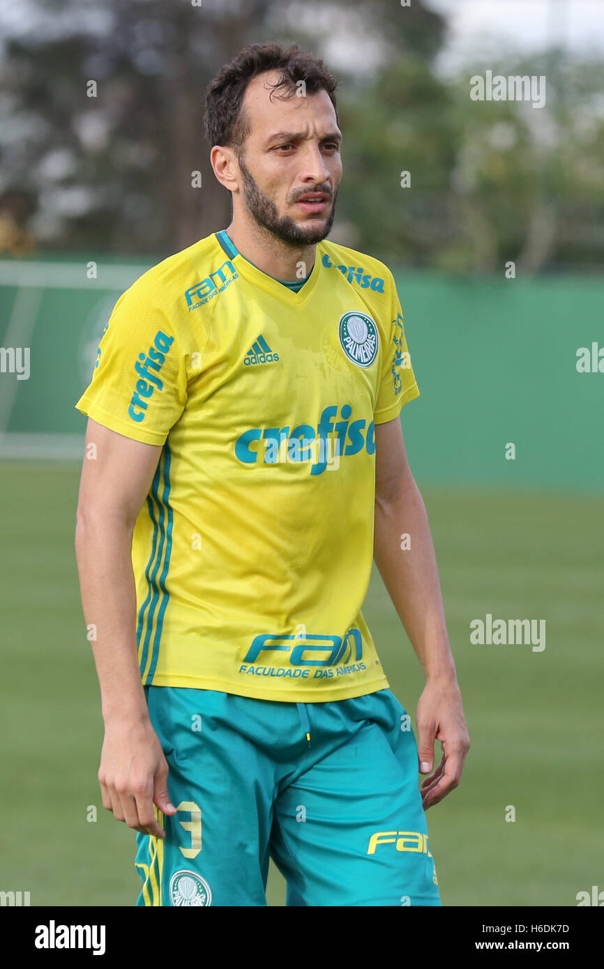 Sao Paulo, Brazil. 27th Oct, 2016. Palmeiras training: Pictured player ...