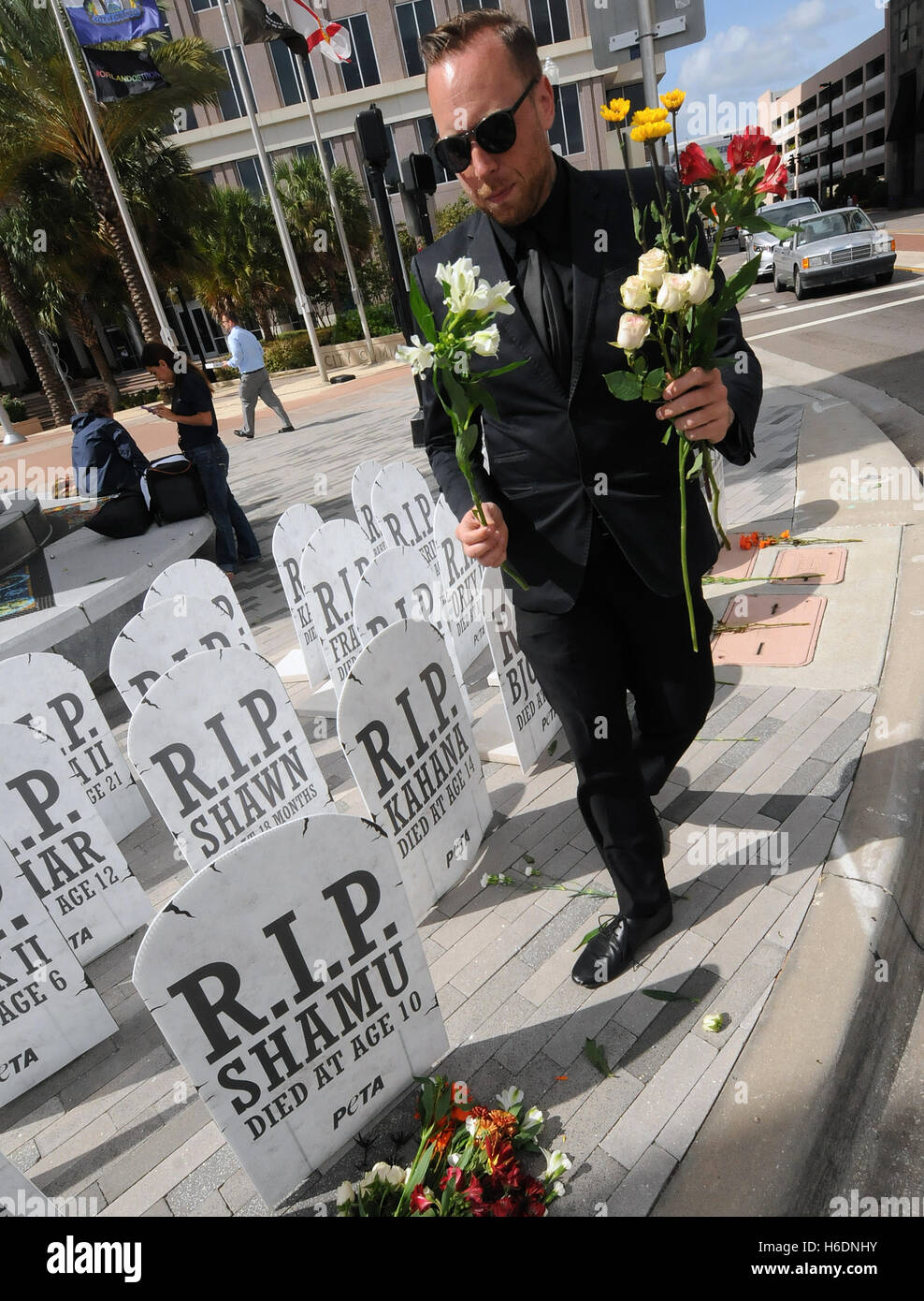 Seaworld orca protest hi-res stock photography and images - Alamy