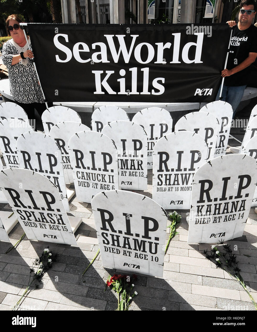 Paul young on stage hi-res stock photography and images - Alamy